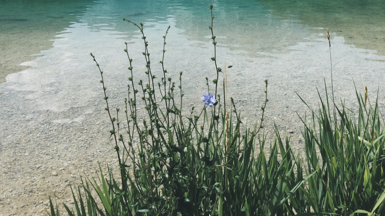 Mountain Mastery: A Step-by-Step Climbing Guidebook ...